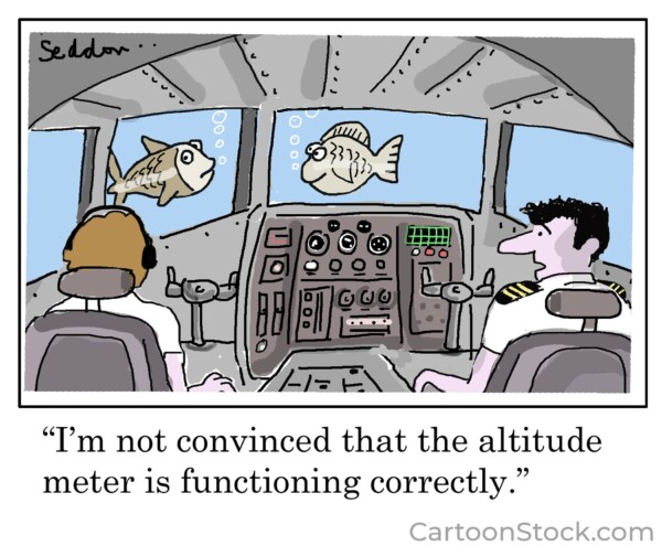 The Power of Perception: Understanding Situational Awareness for ...